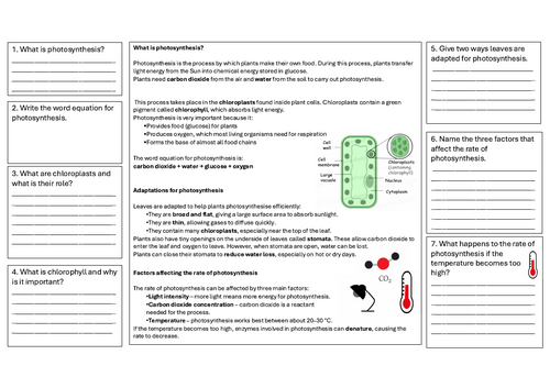 KS3 Photosynthesis Comprehension sheet | Teaching Resources