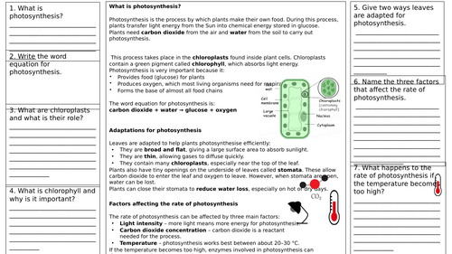 KS3 Photosynthesis Comprehension sheet | Teaching Resources