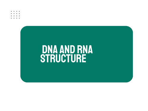 AP Biology Unit 6: DNA and RNA Structure | Teaching Resources