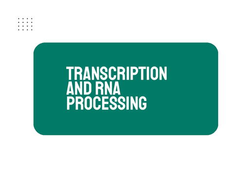 AP Biology Unit 6: Transcription and RNA Processing | Teaching Resources