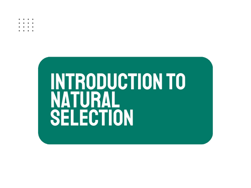 AP Biology Unit 7: Introduction to Natural Selection | Teaching Resources