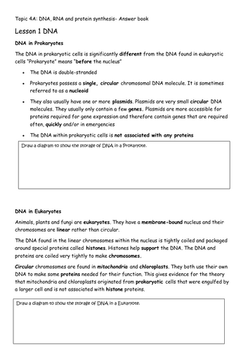 Topic 4A: DNA, RNA and Protein synthesis | Teaching Resources