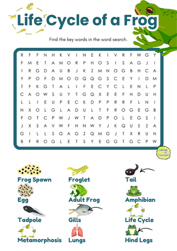 Frog Life Cycle Word Search | Amphibians & Metamorphosis Vocabulary ...