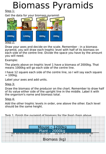 Biomass pyramids scaffolded worksheet | Teaching Resources