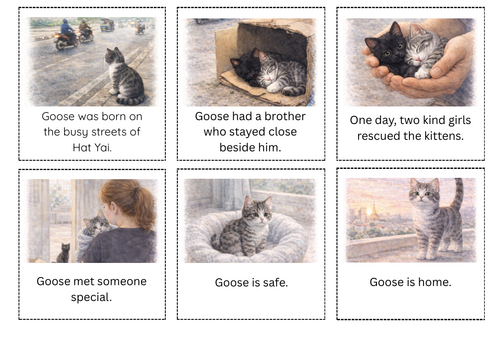 Goose the Thai Street Cat - Story & Activity Pack | Teaching Resources