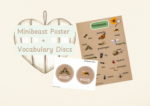 Minibeast Poster & Vocabulary Discs | Teaching Resources
