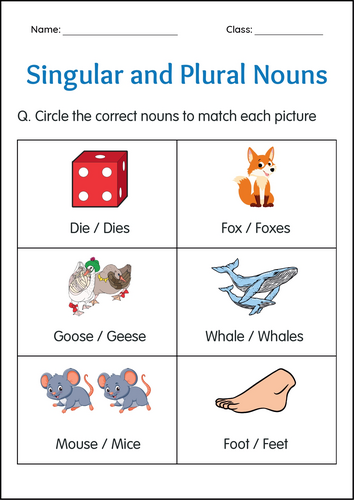 Singular and Plural Nouns Activity Worksheets for Grade 1, 2, 3 ...