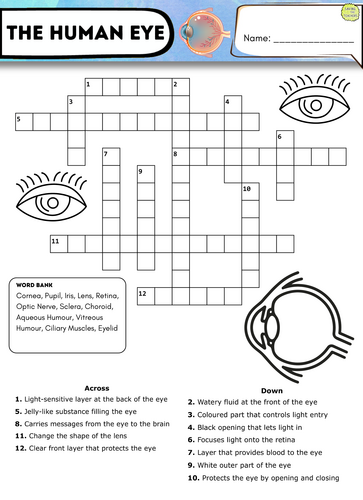 Human Eye Vocabulary Crossword – Parts of the Eye Science Activity (KS2 ...