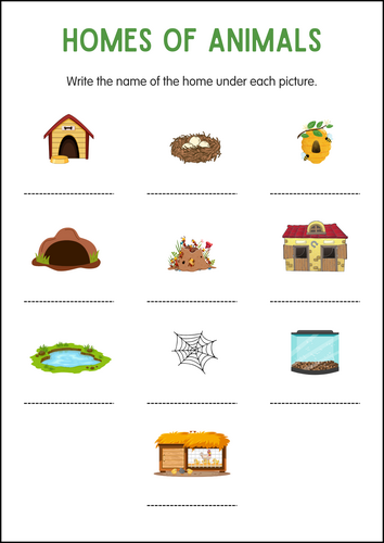 Homes of Animals Activity Worksheets for Grade 2, 3, 4 - Animals and ...