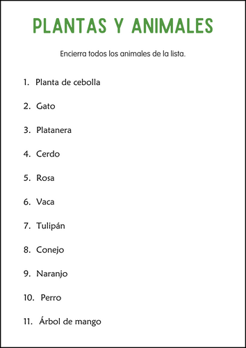 Plants and Animals Worksheet in Spanish - Hojas de Trabajo de Plantas y ...