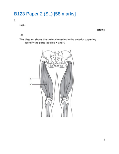 IB Sports, Exercise & Health Science (SEHS) 2026: Official Question ...