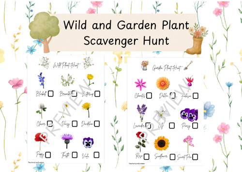 Wild & Garden Plant Scavenger Hunt | Teaching Resources