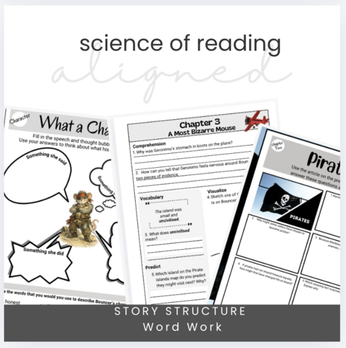 Geronimo Stilton SHIPWRECK ON PIRATE ISLAND Novel Study | Teaching ...