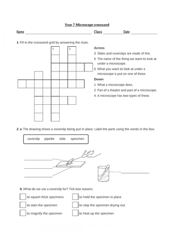 KS3 Science Microscopes pack of worksheets | Teaching Resources