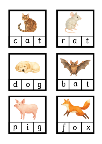 CVC Words Missing Sounds Picture Cards Activity (EYFS / KS1) | Teaching ...