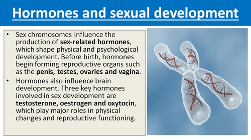 Role of chromosomes and hormones | First exams in 2027 - AQA A Level ...