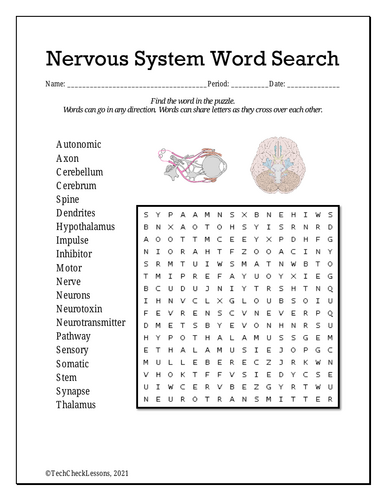 Brain Parts and Functions Labeling Diagram Worksheet + Vocab Quiz ...