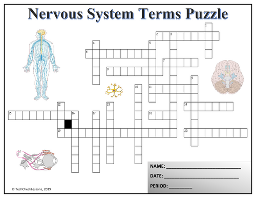 Brain Parts and Functions Labeling Diagram Worksheet + Vocab Quiz ...