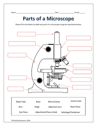 Parts of a Microscope Labeling & Functions Worksheet - Science + Word ...