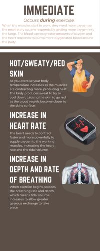 GCSE PE - Immediate, short and long term effects of exercise | Teaching ...