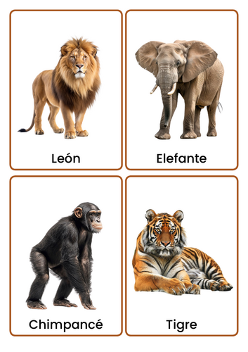 Spanish Wild Animals Flashcards | Real Photo Vocabulary Cards ...