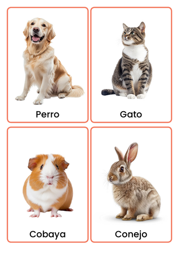 Spanish Pets Flashcards | Real Photo Vocabulary Cards | Printable ...