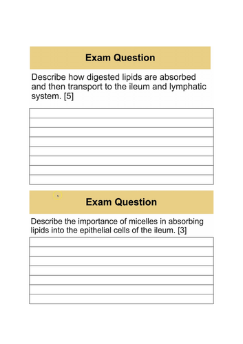 Absorption of the products of digestion - AQA A-Level Biology ...