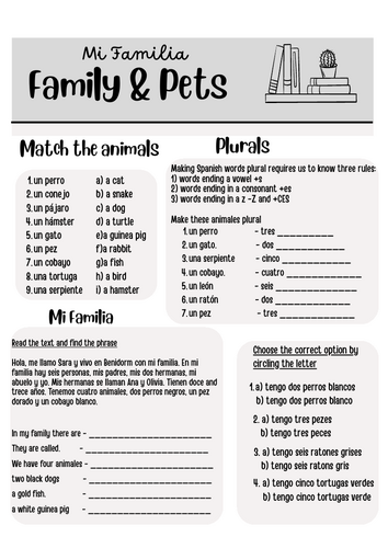 Pets and Family revision worksheet | Teaching Resources