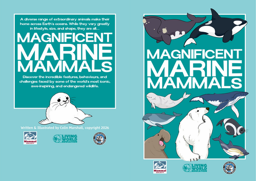 Magnificent Marine Mammals ebook | Teaching Resources