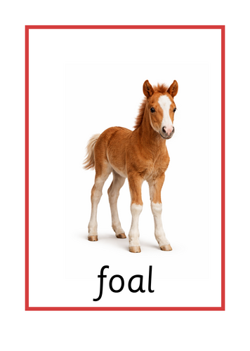 Farm Animals and Their Babies Flashcards, EYFS & KS1 Vocabulary Cards ...