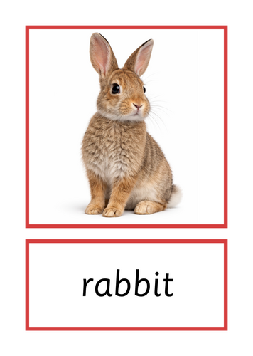 Farm Animals and Their Babies Flashcards, EYFS & KS1 Vocabulary Cards ...