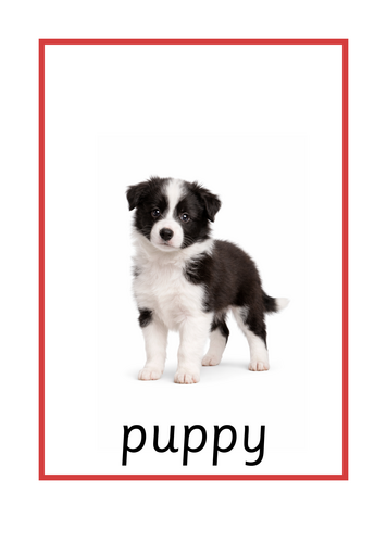 Farm Animals and Their Babies Flashcards, EYFS & KS1 Vocabulary Cards ...