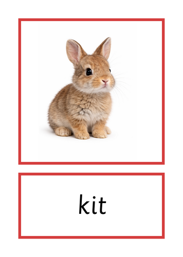 Farm Animals and Their Babies Flashcards, EYFS & KS1 Vocabulary Cards ...