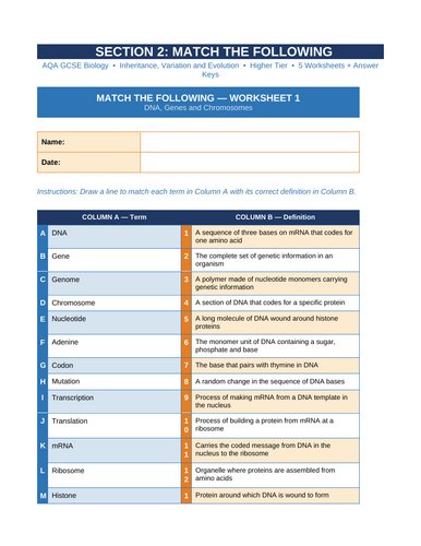 GCSE Biology Inheritance Variation Evolution AQA 8461 Exam Practice ...