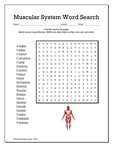 Muscular System Webquest | Editable Digital Science Activity | Teaching ...