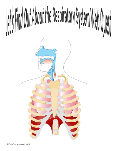 Respiratory System Webquest | Editable Digital Science Activity ...