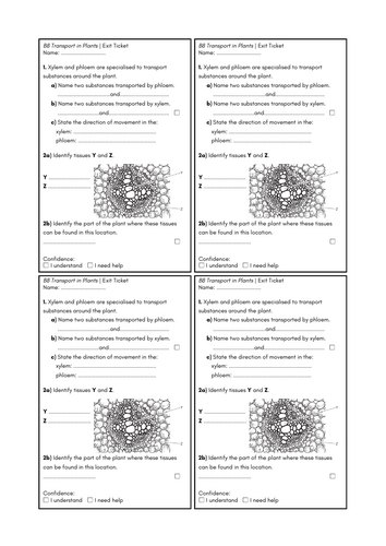 B8 Transport in Plants | Starter Activities & Exit Tickets | IGCSE ...