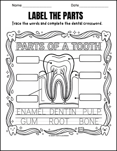 Parts of a Tooth: Labeling, Traceable Vocabulary, Word Search & Maze ...