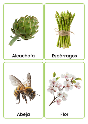 Spanish Spring Vocabulary Flashcards | Real Photo Cards | Printable ...