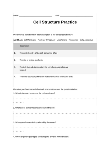 Wales KS3 - Cells and organisation assessments / worksheets bundle ...
