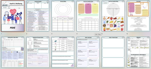 Managing Health, Choices, and Personal Safety PSHE Student Work Booklet ...