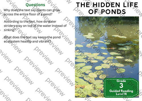 The Hidden Life of Ponds (with Lesson Plan) | Teaching Resources