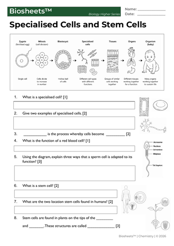 Biosheets™ – Specialised cells and Stem cells (IGCSE / GCSE Biology ...
