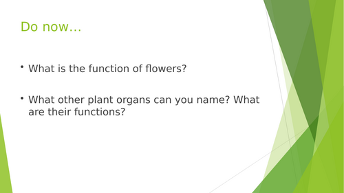 KS3 Flower Structure PPT and Dissection Worksheet | Teaching Resources