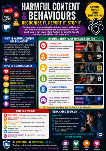 Online Safety & Digital Literacy Poster Pack (KS3–KS4) | Teaching Resources