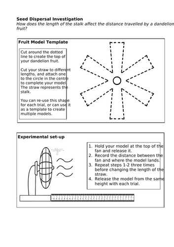 KS3 Quantitative Investigation of Seed Dispersal PPT and Worksheet ...