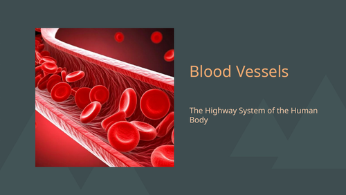 GCSE Biology Blood Vessels Lesson | AQA Combined Science | PowerPoint ...