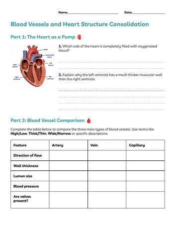 GCSE Biology Blood Vessels Lesson | AQA Combined Science | PowerPoint ...