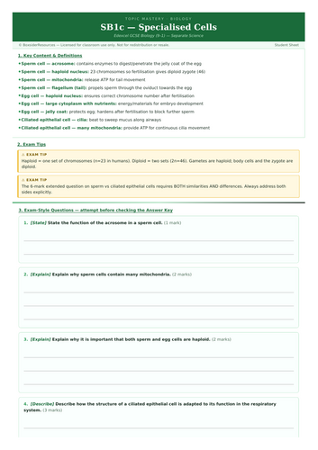 SB1c Specialised Cells | Edexcel GCSE Biology Topic Mastery Pack ...