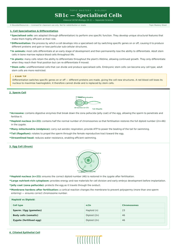SB1c Specialised Cells | Edexcel GCSE Biology Topic Mastery Pack ...